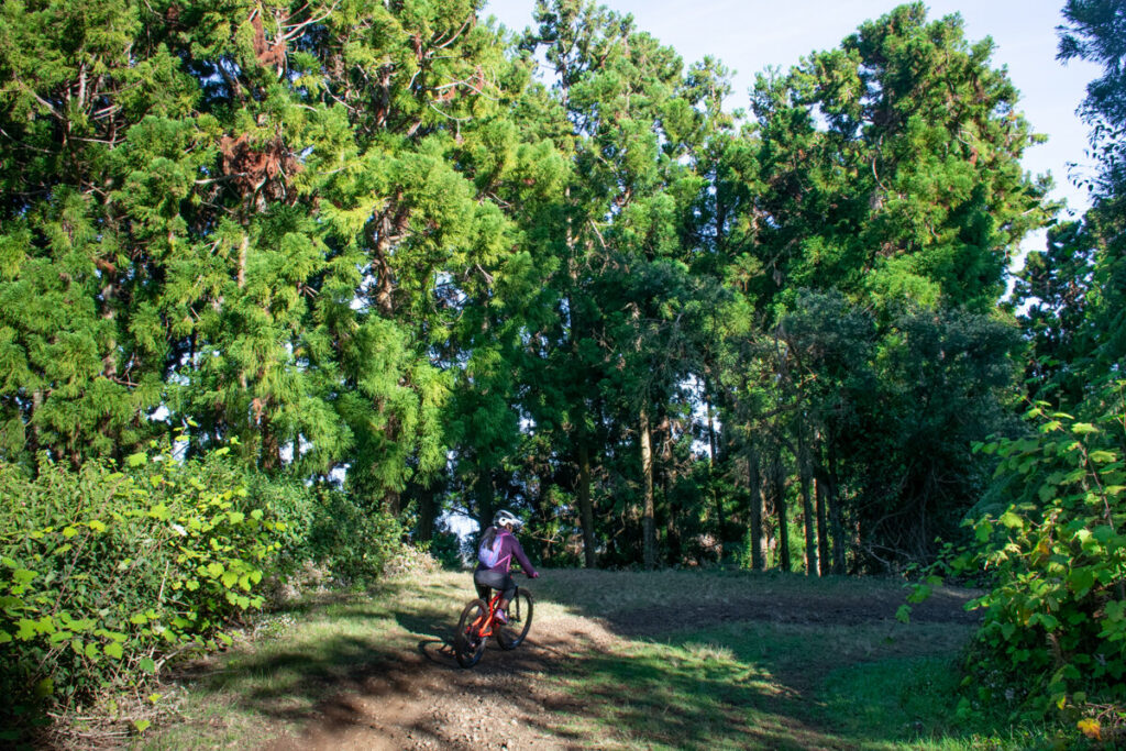 VTT à La Réunion : l'activité à faire au Piton Maido
